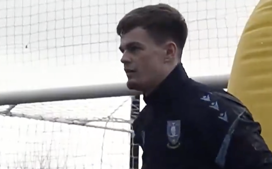 Another signing revealed at Sheffield Wednesday as Owls secure double ...