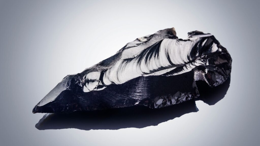 Scientists identify 60,000-year-old discovery that rewrites early human ...