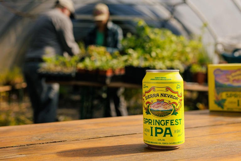 Sierra Nevada looks ahead with Springfest IPA beer release
