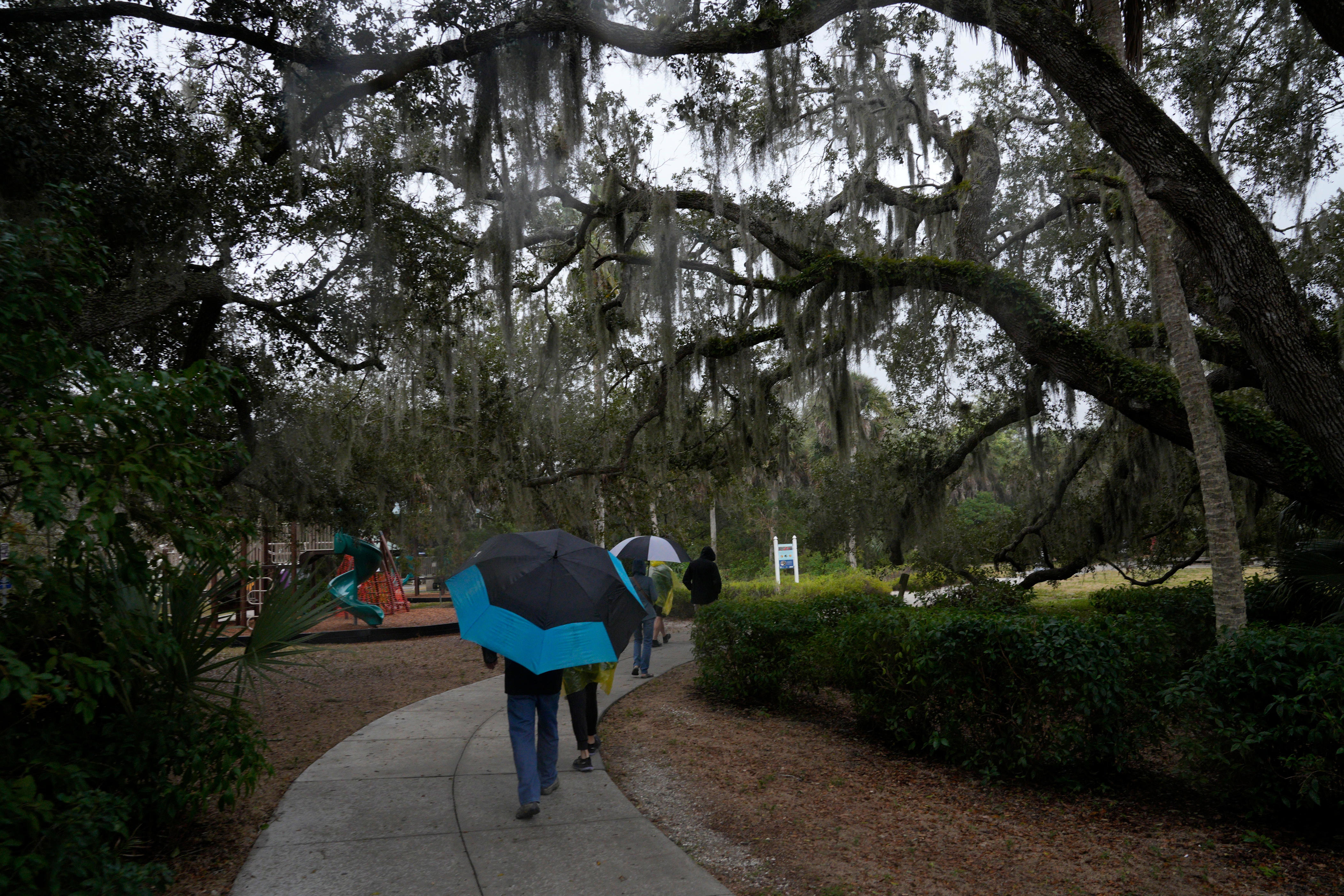 Jack Frost takes a swing at Fort Myers. Did it freeze in rural Lee?