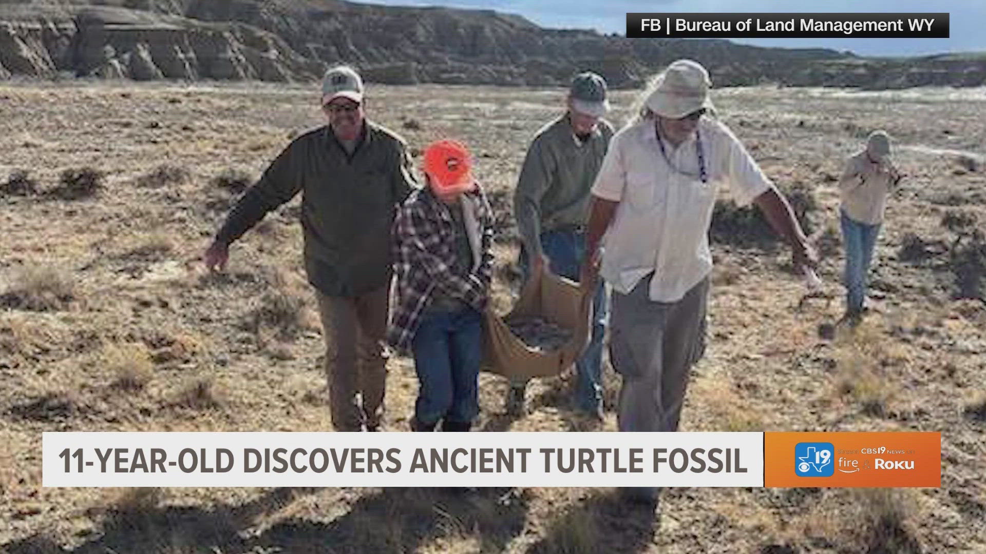 11-year-old boy discovers ancient turtle fossil