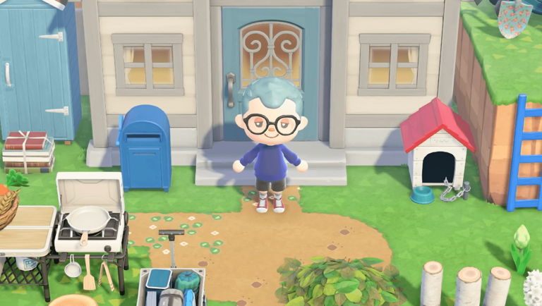 Animal Crossing: New Horizons Nintendo Switch 2 couple impressions ...