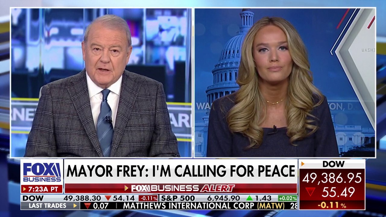 Minnesota violence is 'highly coordinated' as anti-ICE agitators target ...