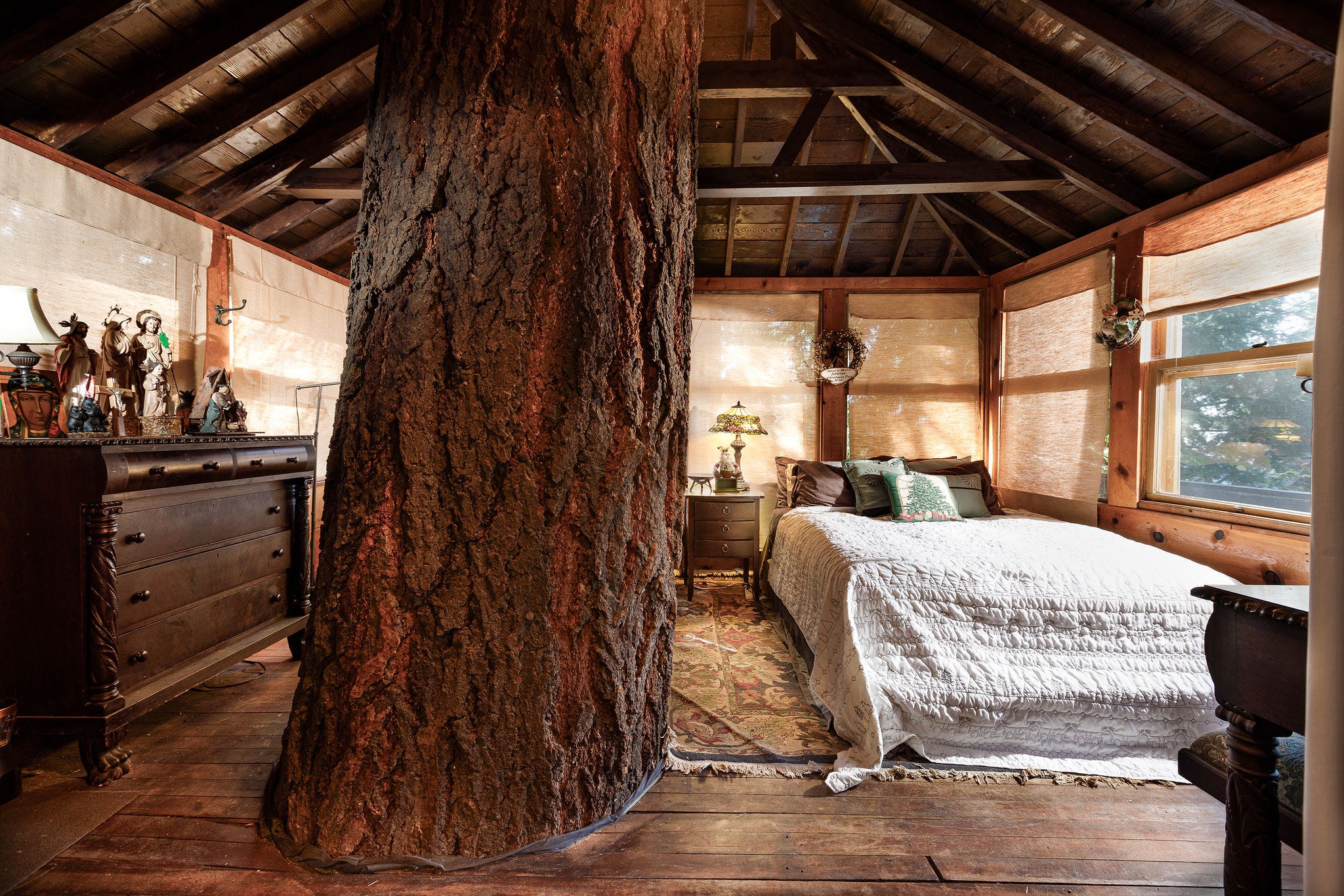 'Magical' SoCal home for sale has 170-foot tree jutting from it