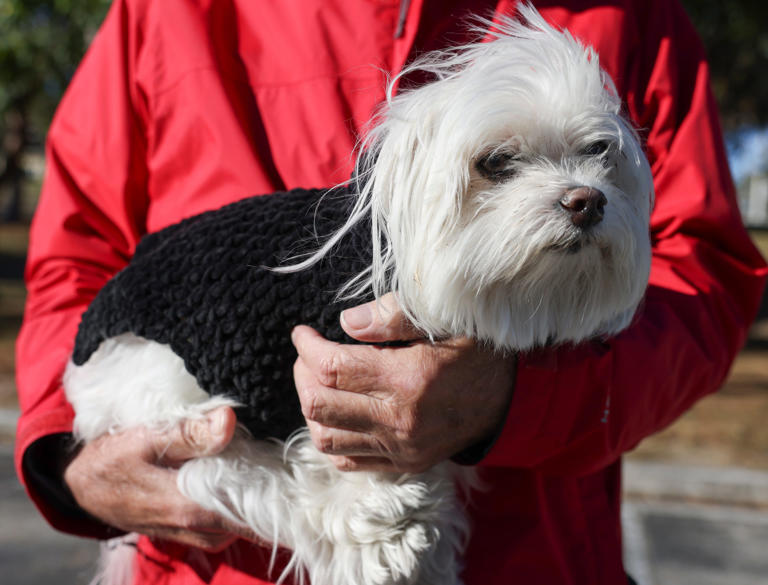 Get ready to bundle up! Cold temperatures coming to the Treasure Coast