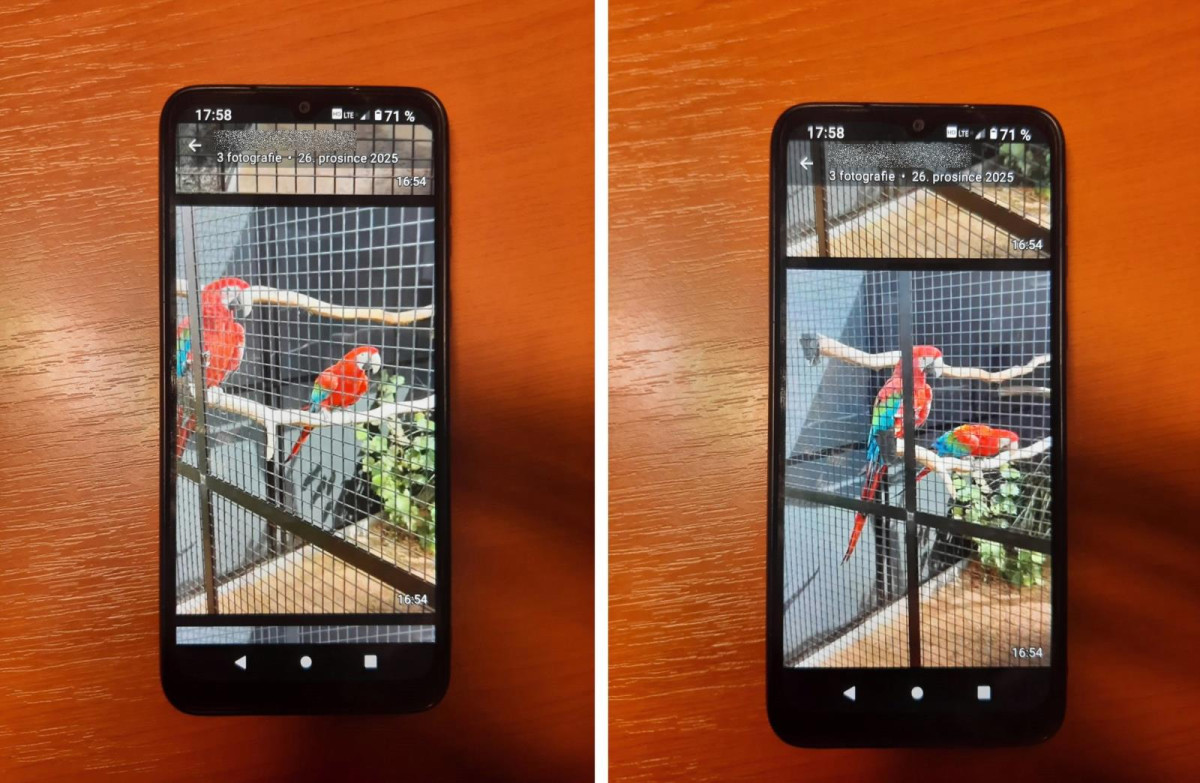 Za papoušky ara zaplatil muž ze Semilska 60 tisíc. Zůstaly mu jen ...