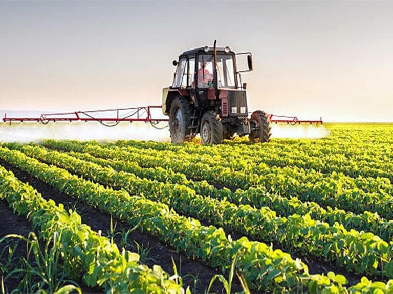Bio-saline farming reclaims 460 acres fertile land SindhPublished on ...