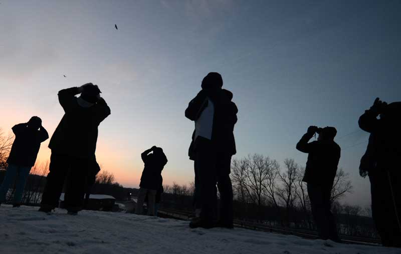 Turkey Run State Park hosts annual Eagles in Flight weekend