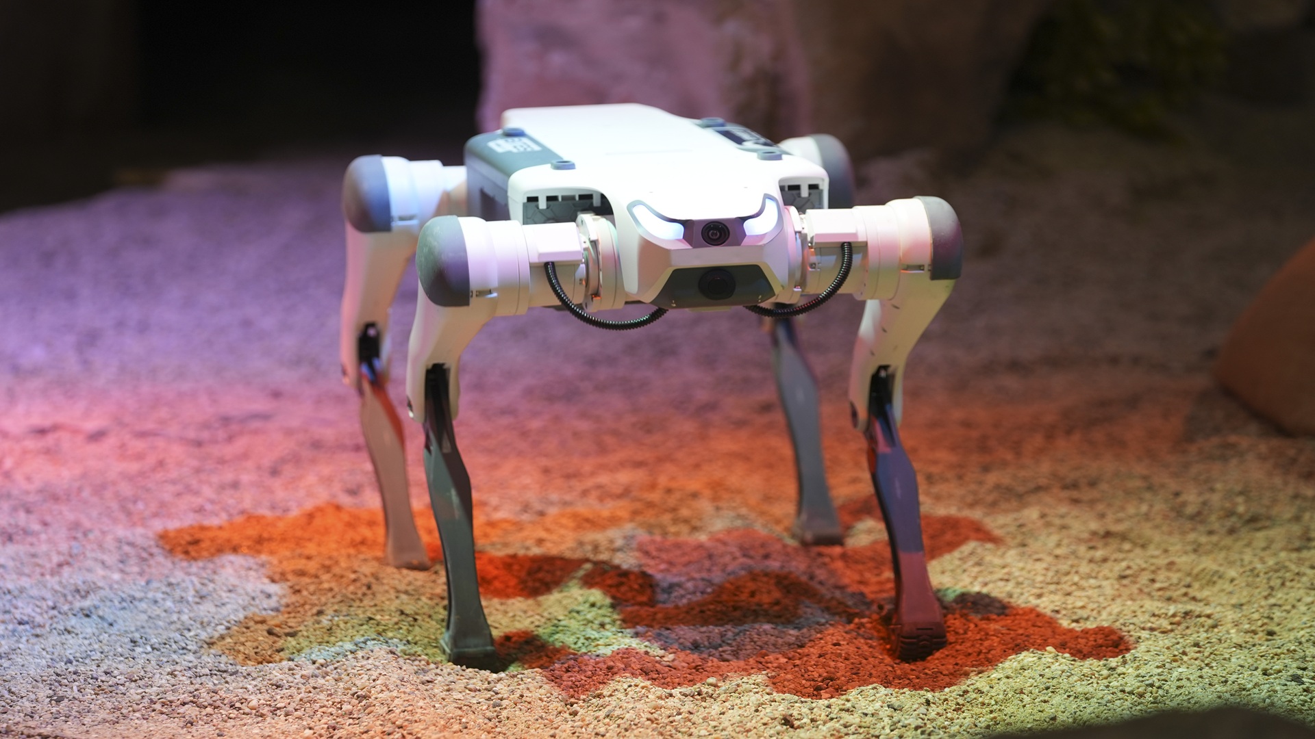 AI-trained quadruped robot walks rough, low-friction terrain without ...