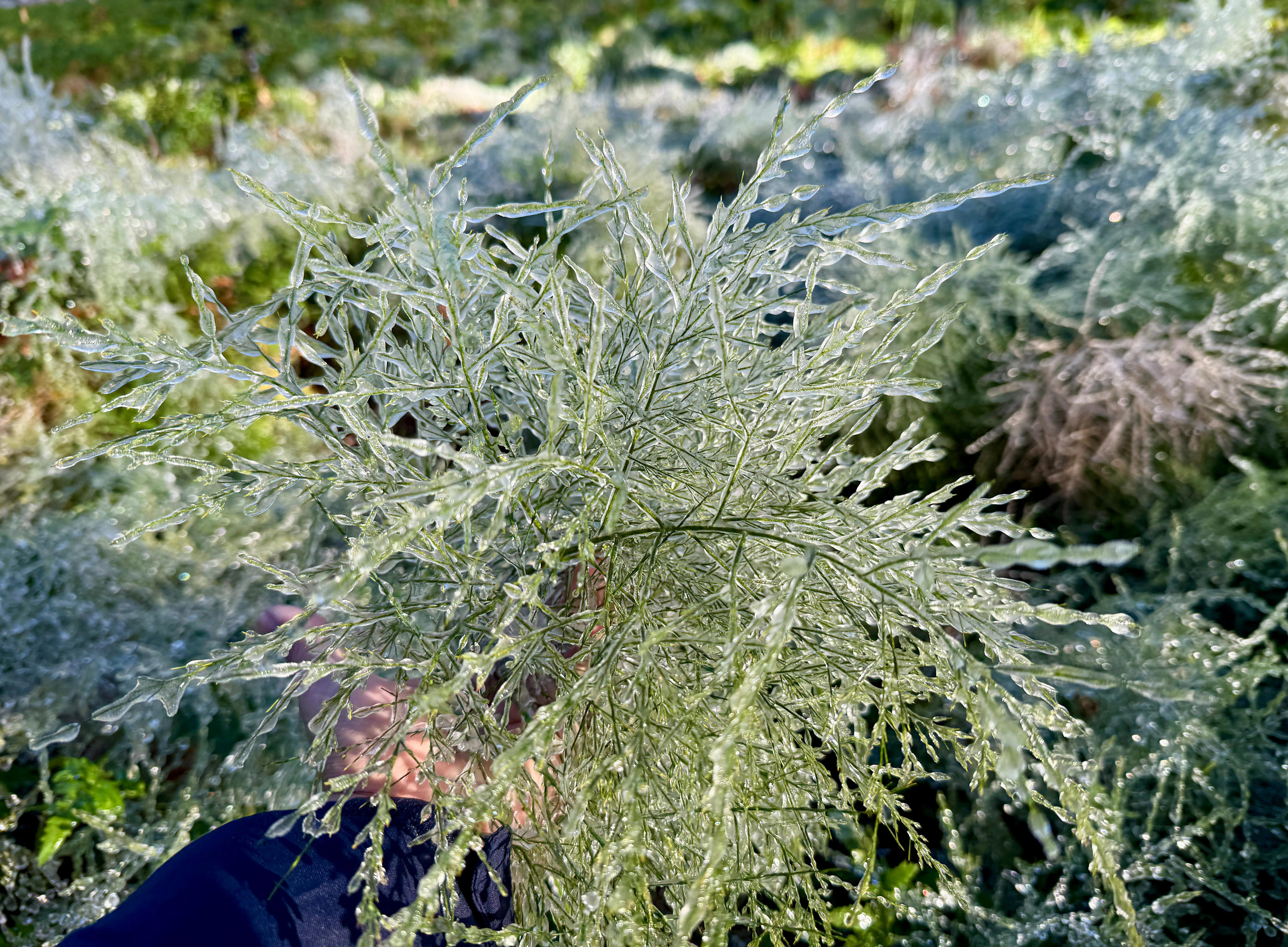 From West Volusia to Flagler Beach, scenes from a cold winter morning