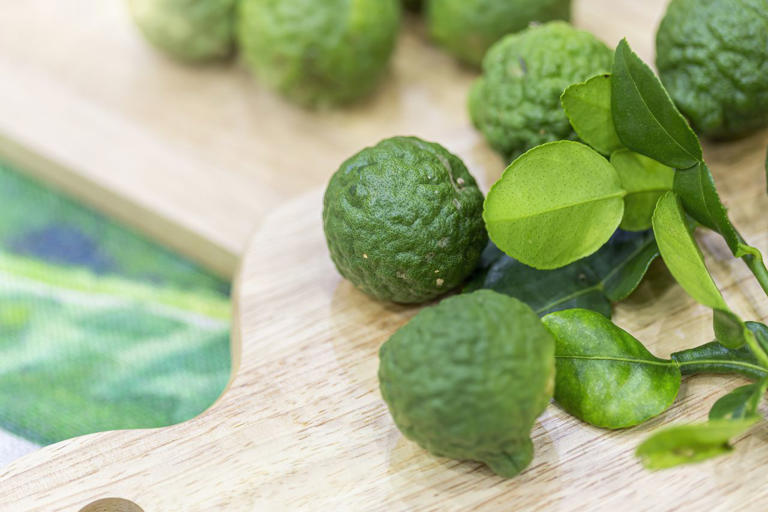 How to grow a makrut lime tree at home for fragrant leaves and fresh limes