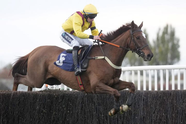 Horse Power: No Konfusion over winner of the Peter Marsh Chase at Haydock