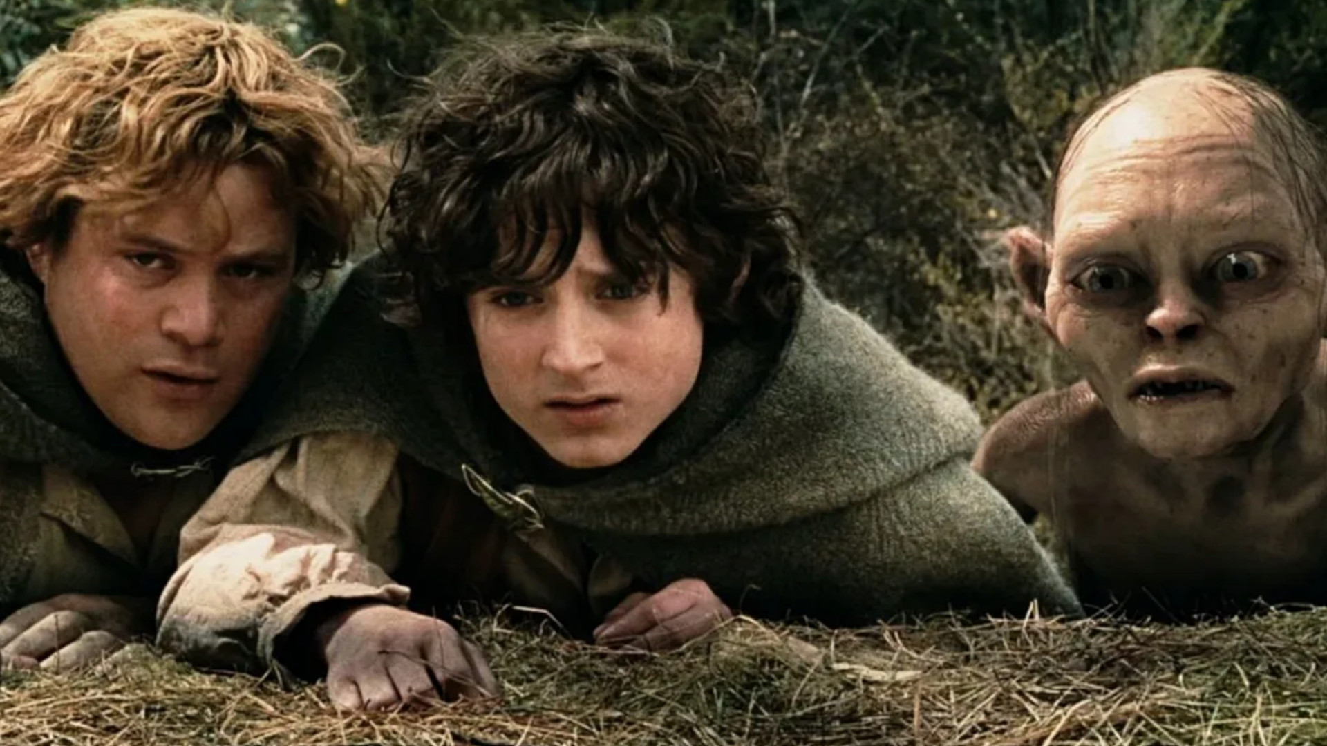 25 years later, I'm still convinced The Lord of the Rings trilogy is ...