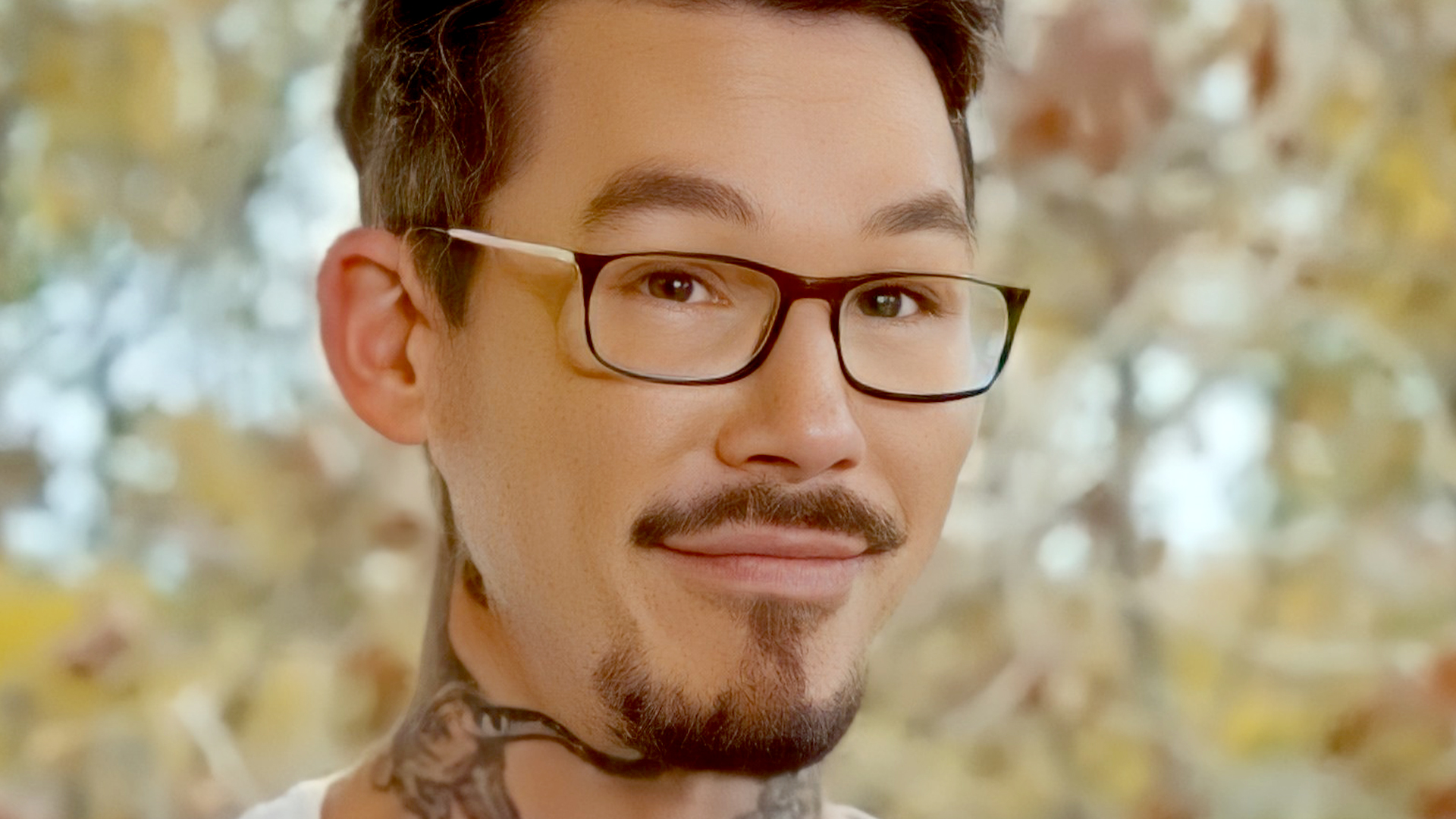 HGTV stars' thoughts on David Bromstad