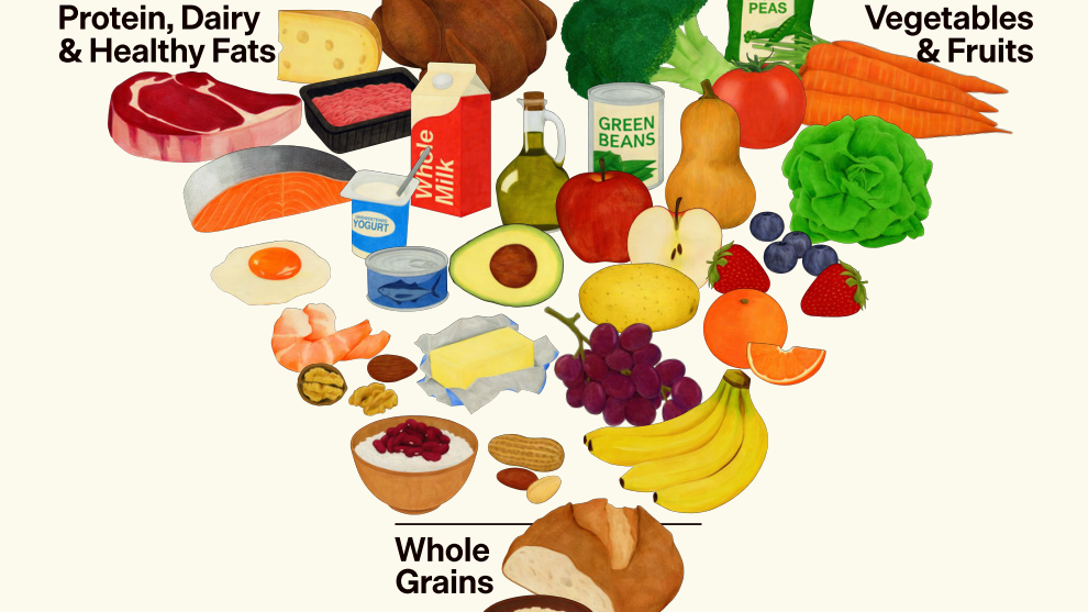 The nutrient missing from America’s new food pyramid