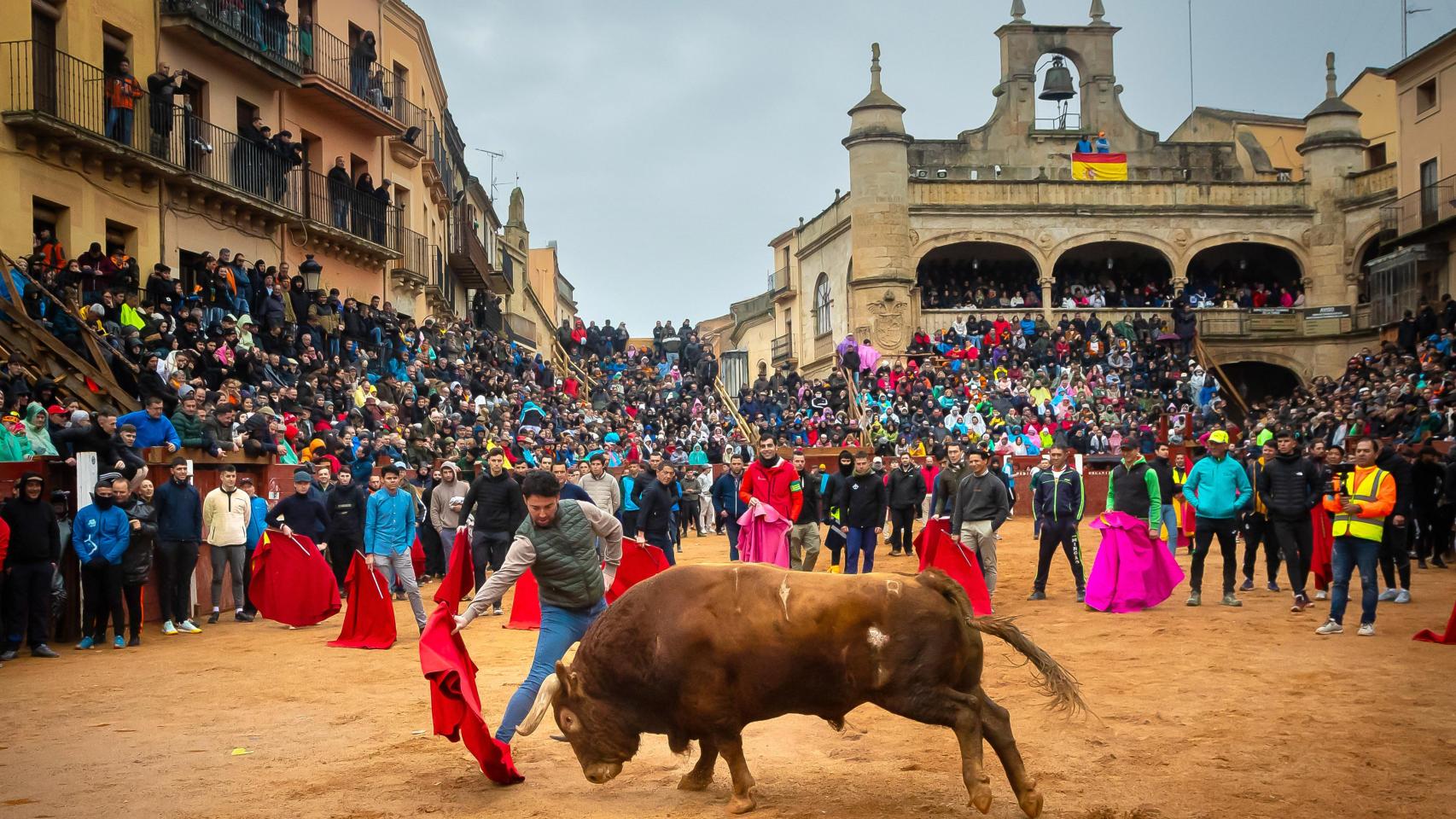 Carnaval del Toro 2026 en Ciudad Rodrigo: Juan Pedro Domecq, Jandilla e ...