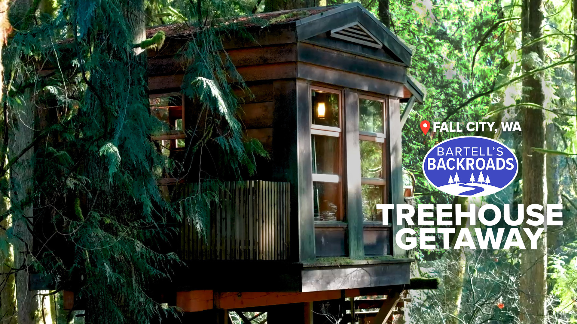 Luxury treehouses allow travelers to sleep high above the forest ...
