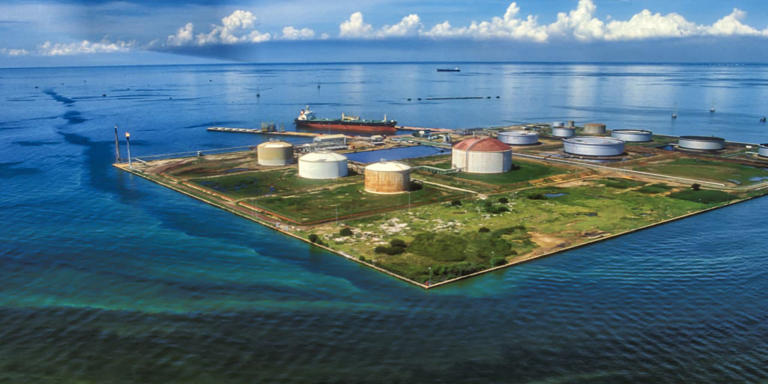 How investors reward a corporate chief’s resistance to Trump’s request