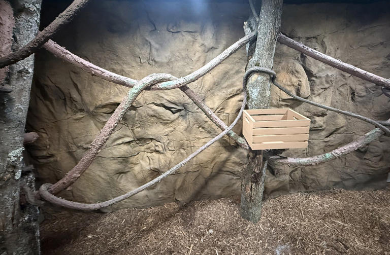 Animal Adventure Park now open year-round with indoor zoo experience