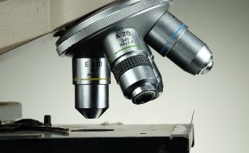 New SLAC method guides better cell slice preparation for cryo-ET imaging