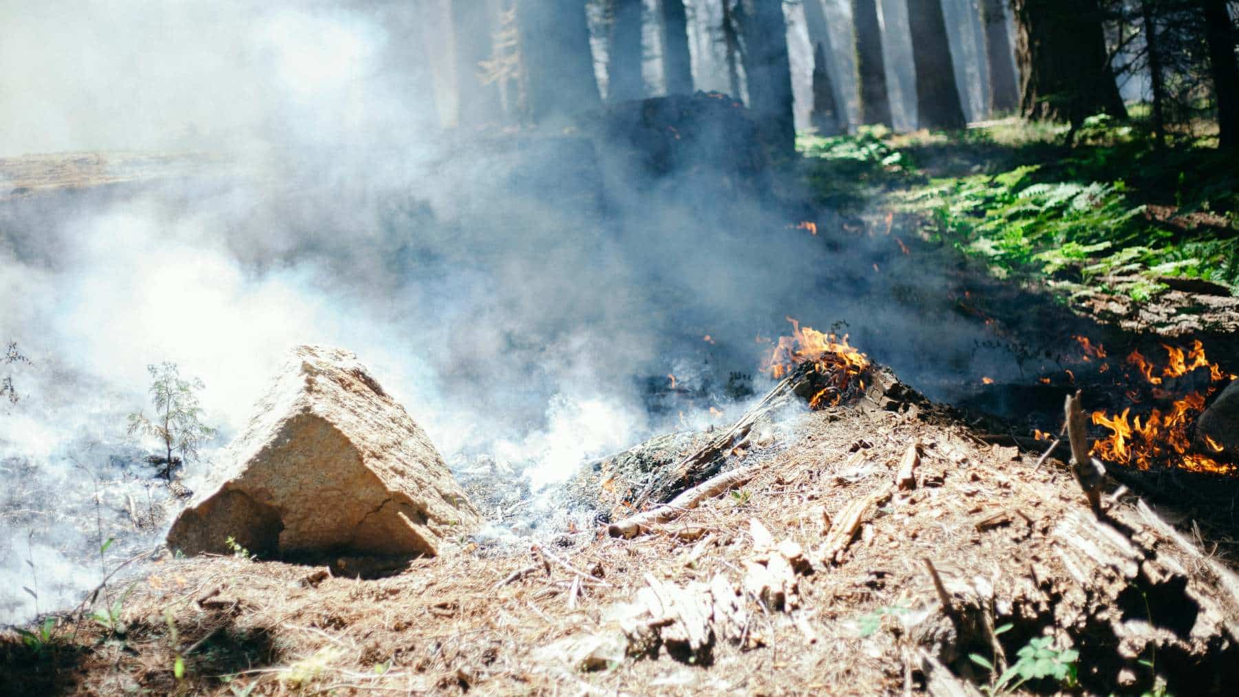 Incendios: tras la contención de los focos en el sur, el Gobierno emite ...