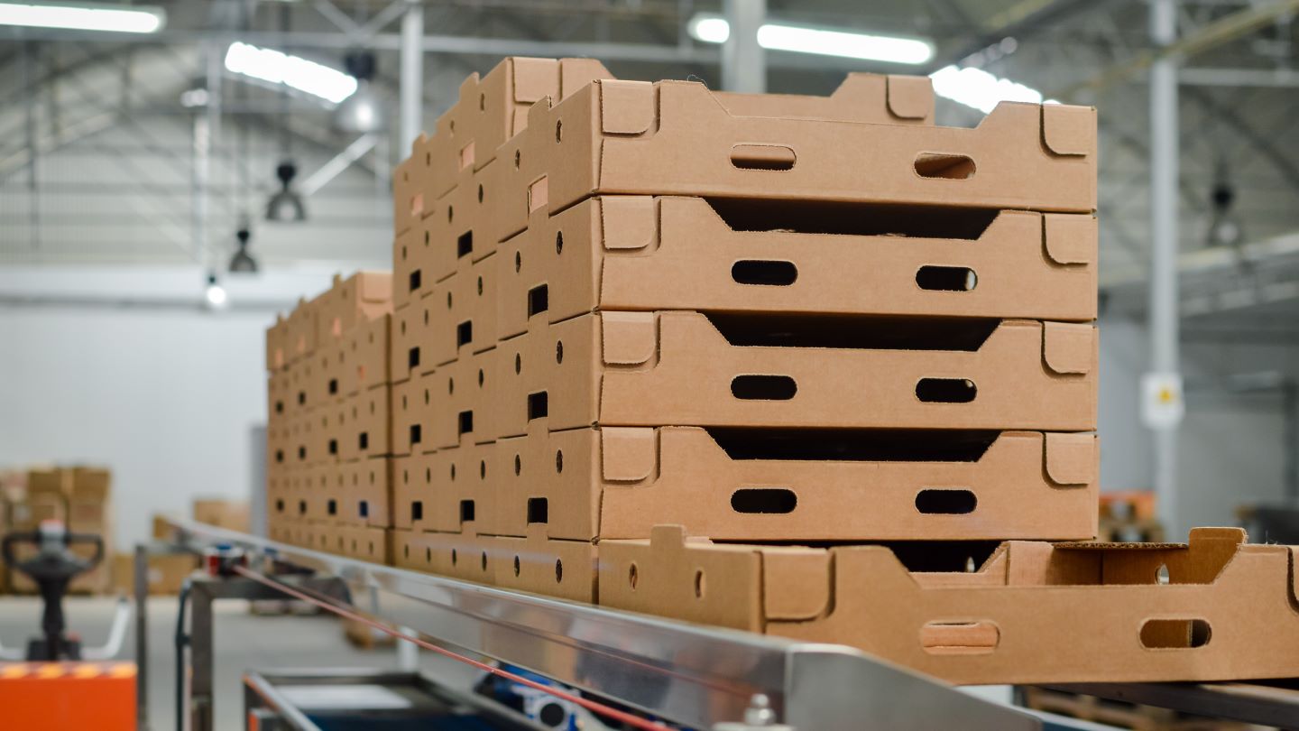 Grenadier Packaging acquires Dutch firm MM Packaging Leeuwarden