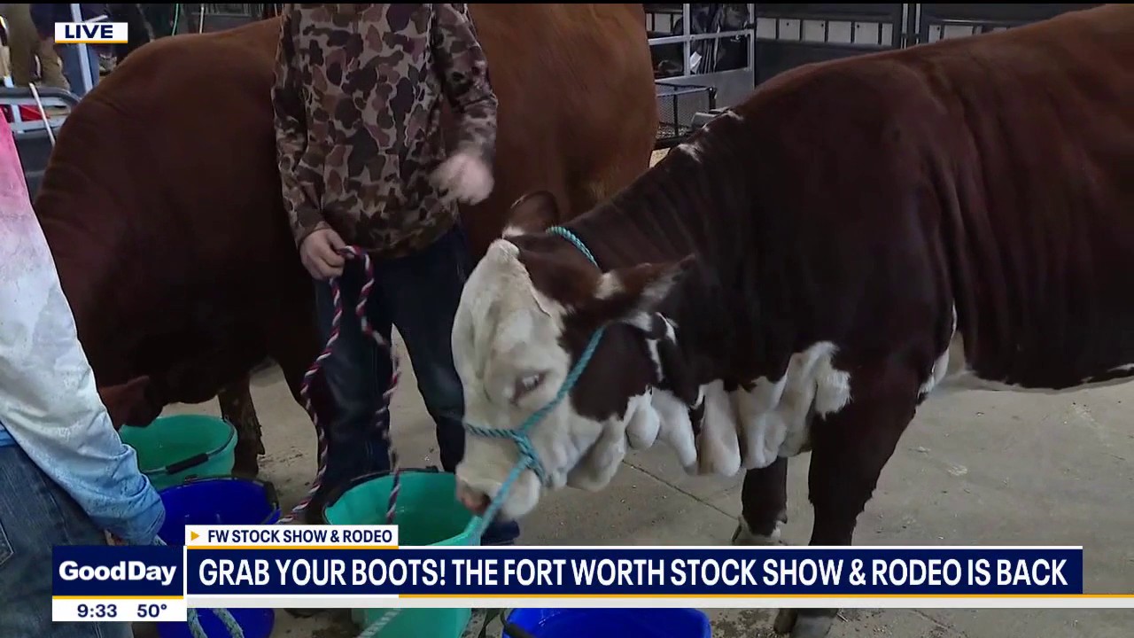Fort Worth Stock Show & Rodeo kicks off this weekend
