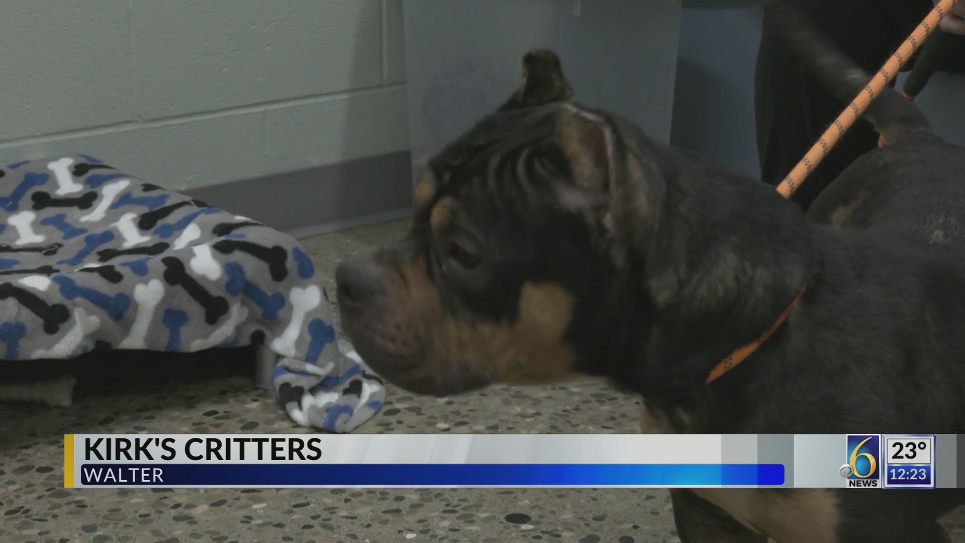 Kirk's critters: Walter