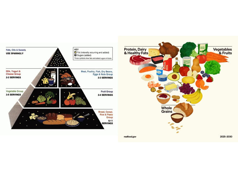 Feds' new food pyramid shows adjusted dietary guidelines for GA