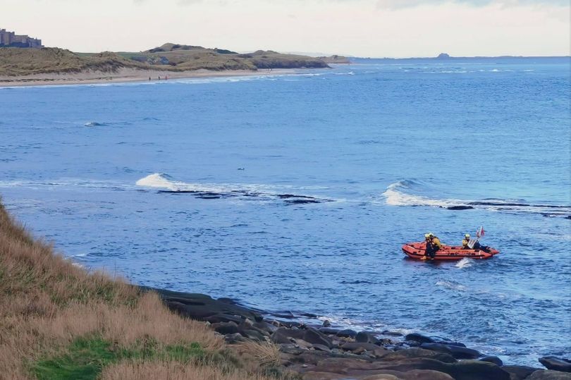 Two people and a dog rescued by lifeboat after being cut off by the ...
