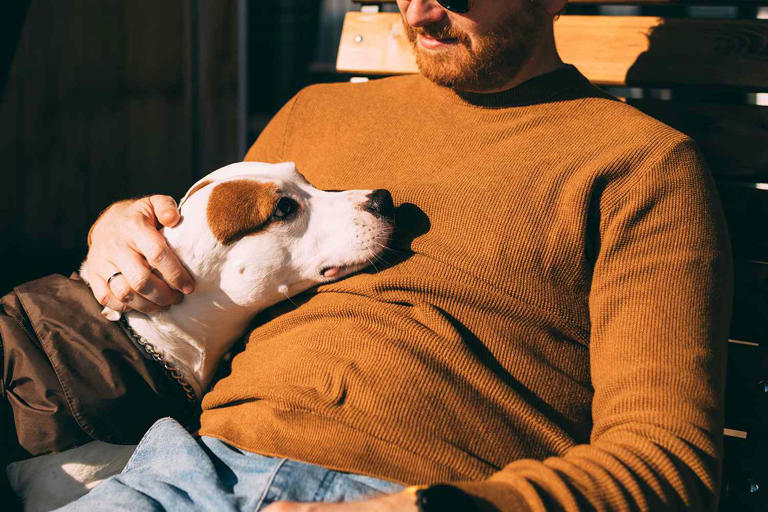 Loss of a pet can trigger prolonged grief similar to that caused by ...