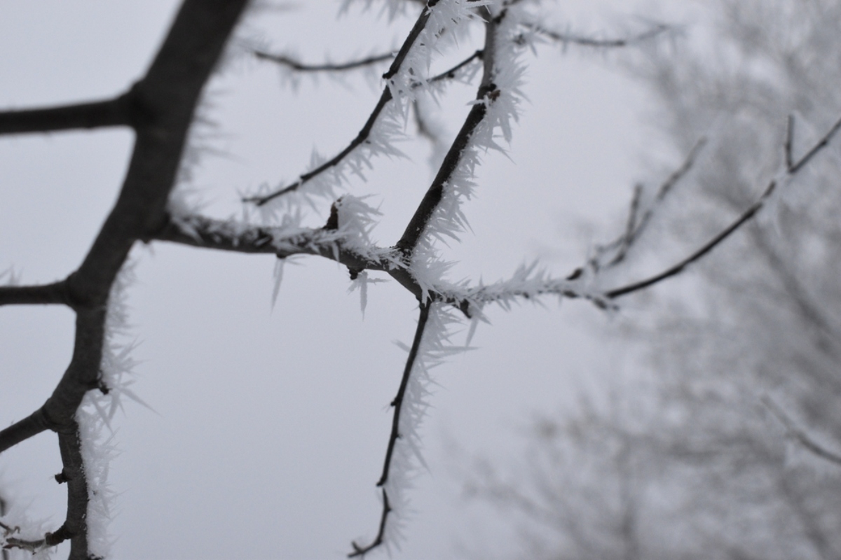 Tormenta del fin de semana podría cubrir de nieve a la costa este desde ...