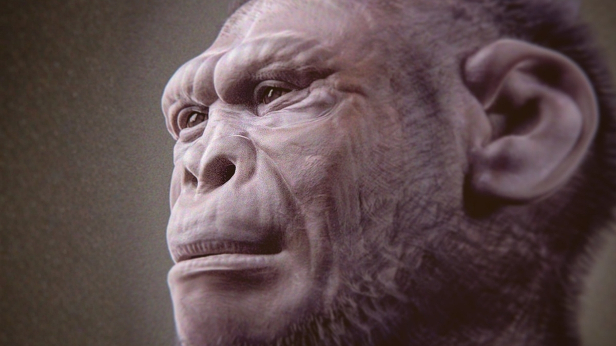 2-million-year-old fossil may be the oldest example of an early human