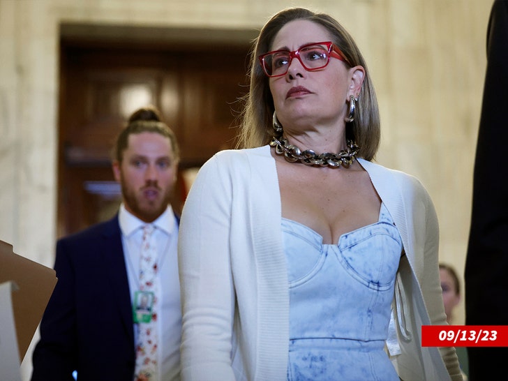Kyrsten Sinema sued for allegedly breaking up bodyguard's marriage