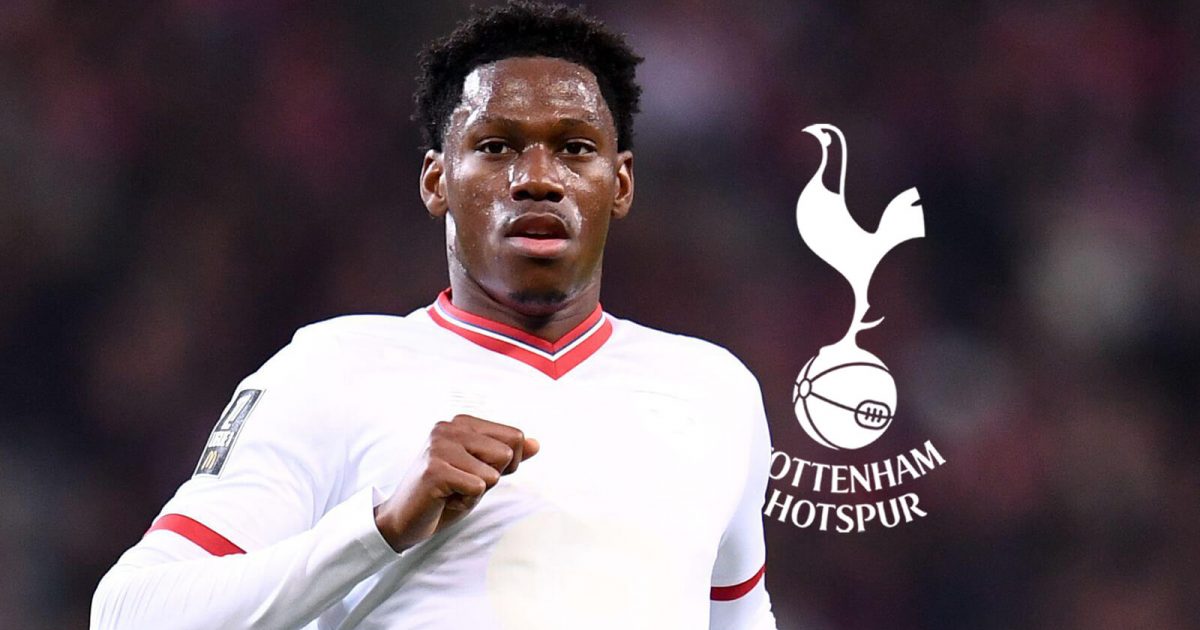 Tottenham plan ‘substantial enquiries’ for record-breaking ‘ideal elite ...