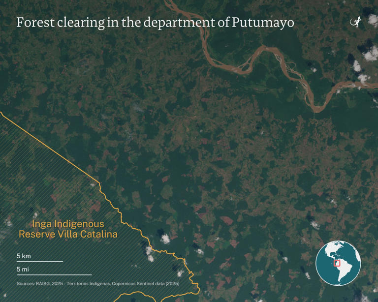 Colombia poised for another drop in deforestation in 2025, data show