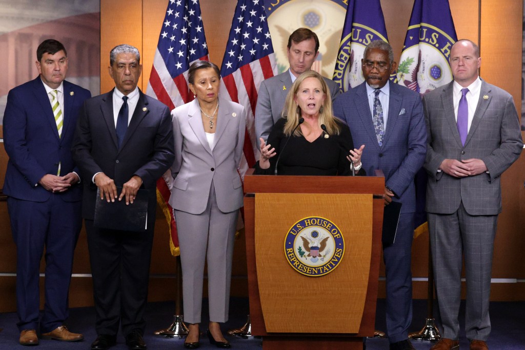 Democrats gain momentum in competitive NY midterm House races, shocking ...