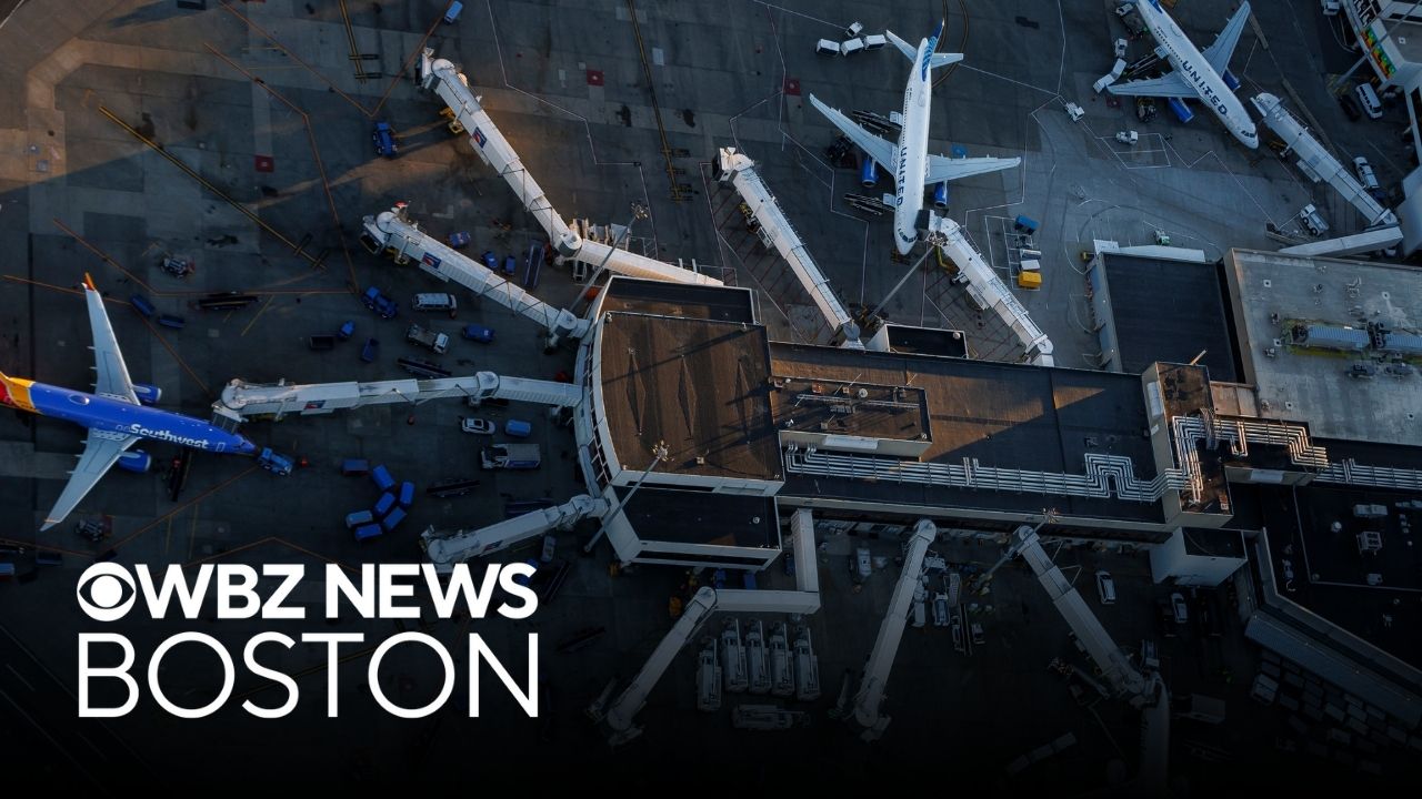 Logan Airport invites public to weigh in on new signage options