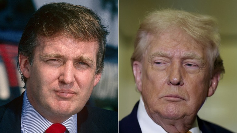 Photo of Donald Trump in the '70s is a jarring reminder his hair wasn't ...