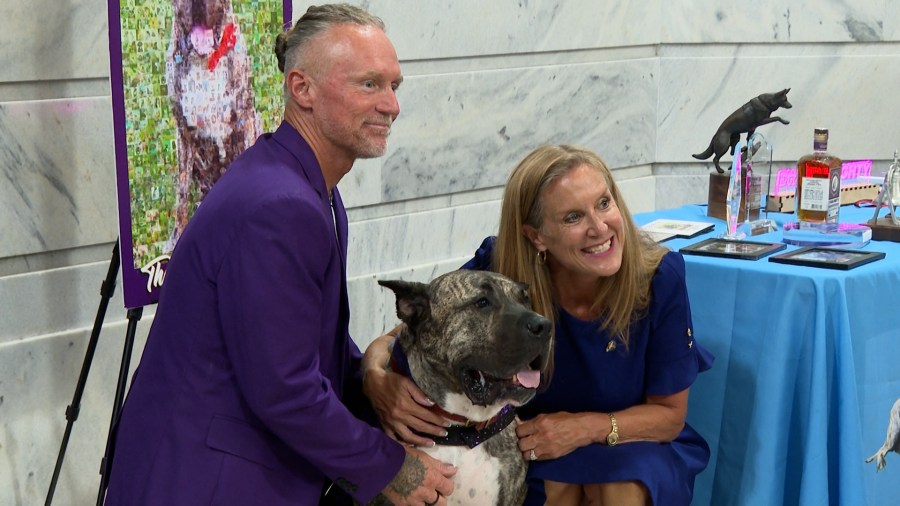 Kentucky lawmaker wants to train animal control officers to spot child ...