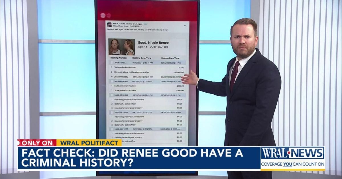 Fact check: Did Renee Good have a criminal record showing child abuse?