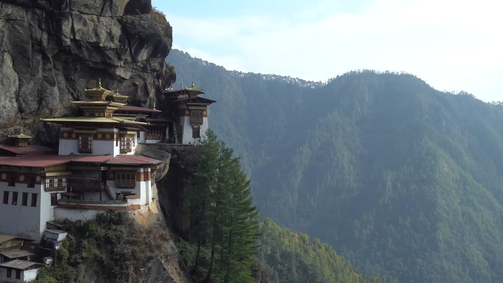 This country would never survive in America