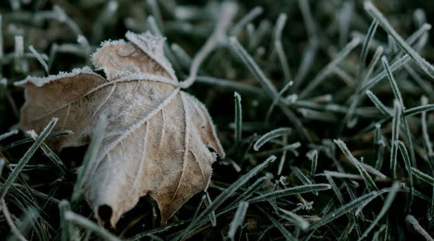 Frigid forecast triggers emergency shelter openings across Hillsborough ...