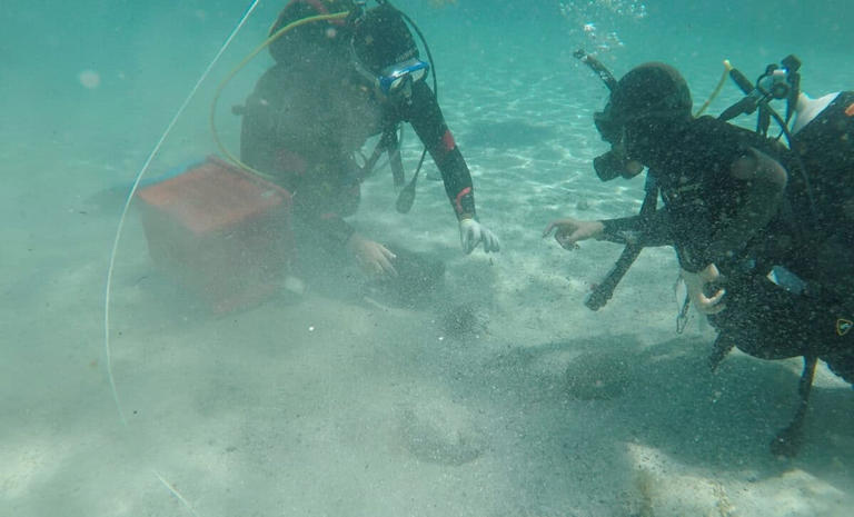 A diver found a Roman treasure by accident in Sardinia, and now experts ...