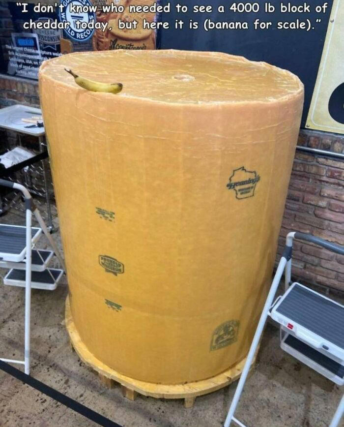 Looks bigger in person: 45 times people were surprised by the sheer ...