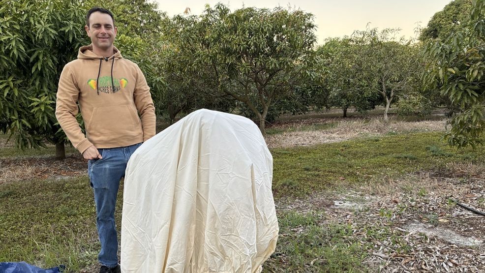 How to protect your plants as colder temperatures hit South Florida