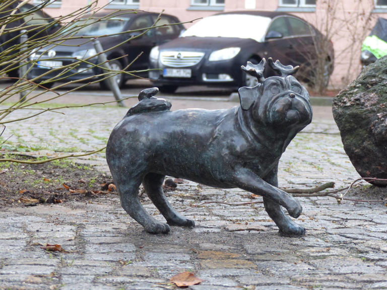 Der Waldmops als Ampelmännchen: Brandenburg an der Havel startet Initiative