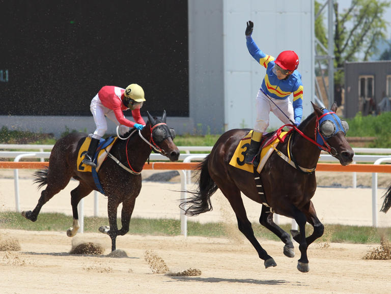 Horses kept legendary jockey Park Tae-jong alive for 39 years