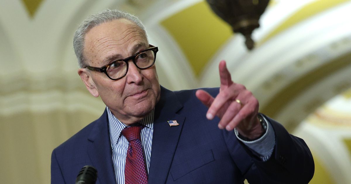 Schumer pleads for money and denigrates ICE in White House meeting with ...