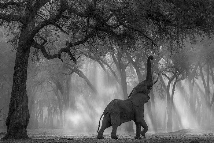 49 entries from the Exposure One Black & White Nature Contest